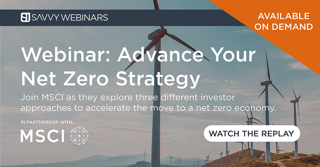 Advance your Net Zero Strategy | Savvy Investor