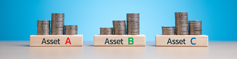 Asset allocation and portfolio construction in 2026 | Savvy Investor